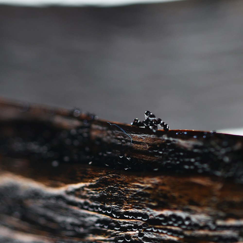 MATIÈRES PREMIÈRES MALGACHES - osmoart : osmoart